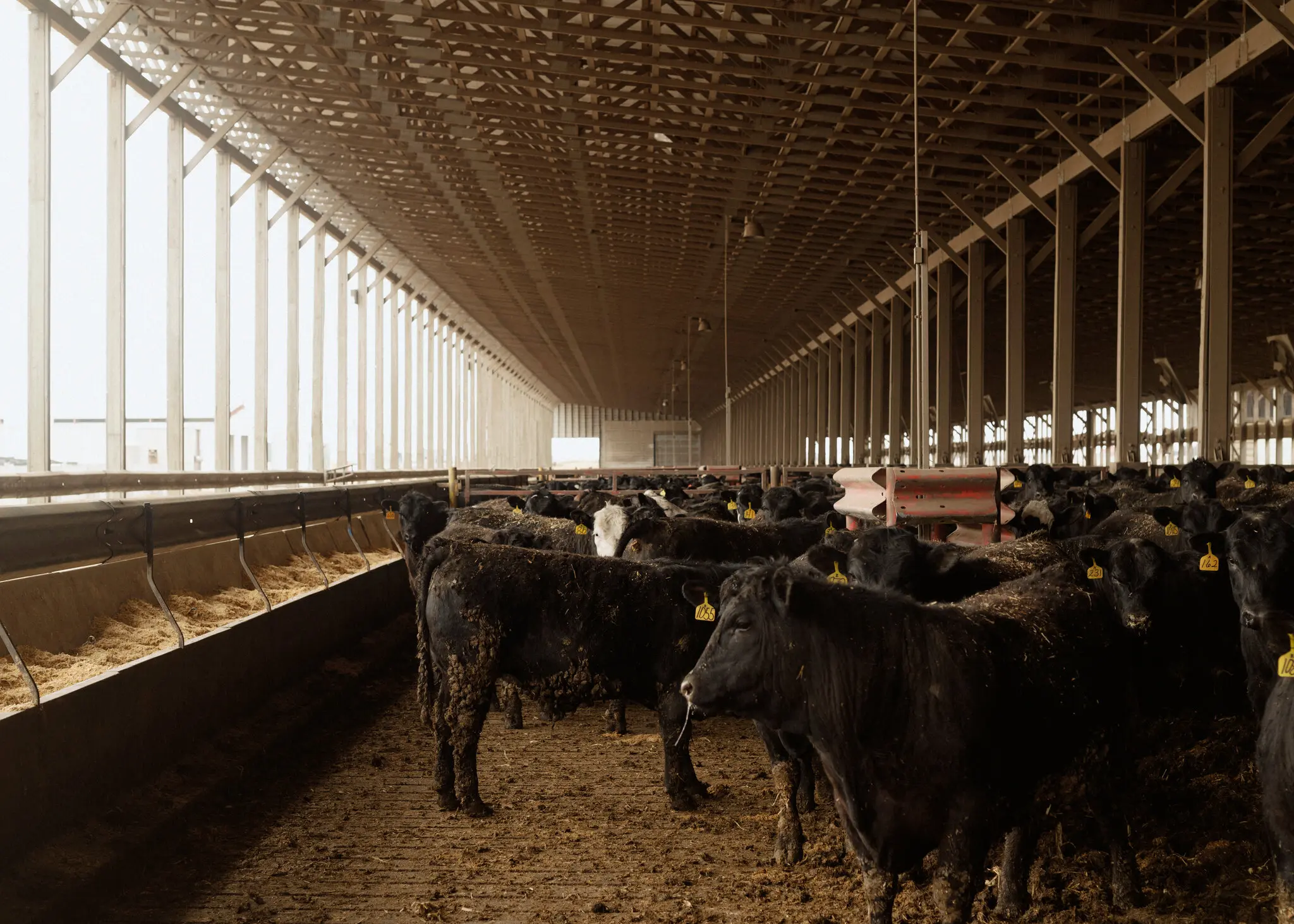 A Push to Turn Farm Waste into Fuel