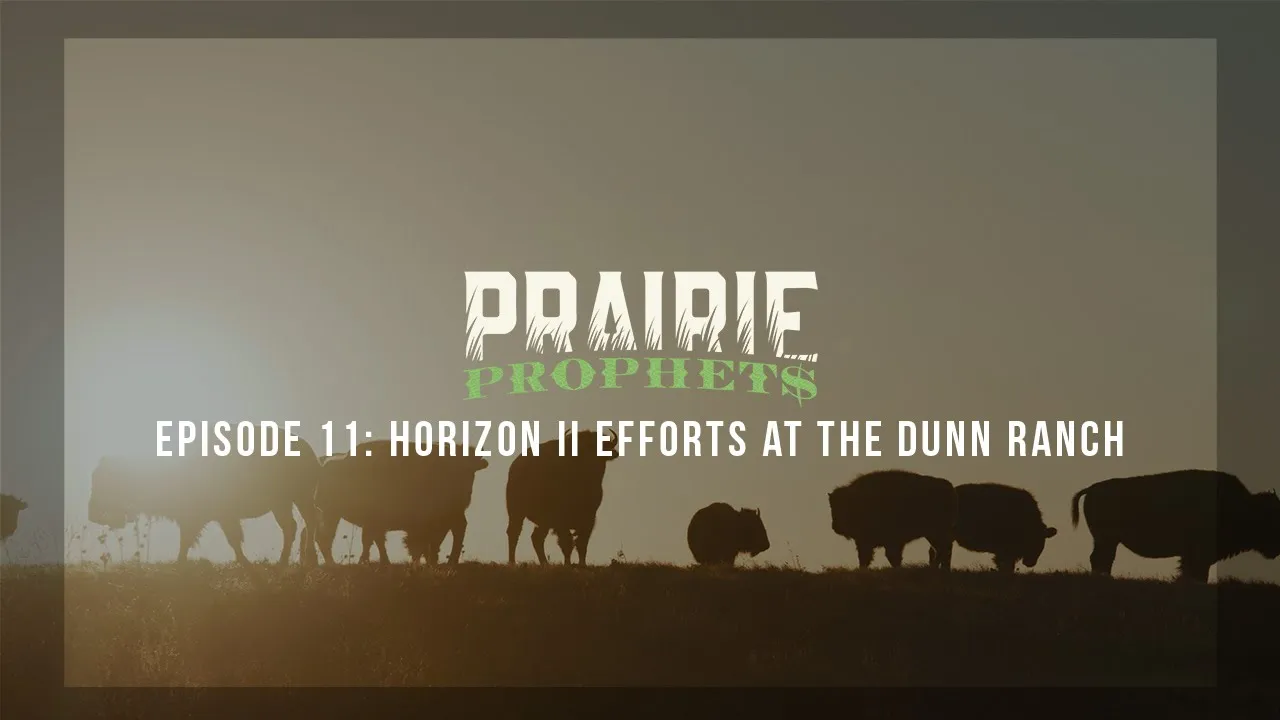 Prairie Prophets - Episode 11: Horizon II Efforts at the Dunn Ranch